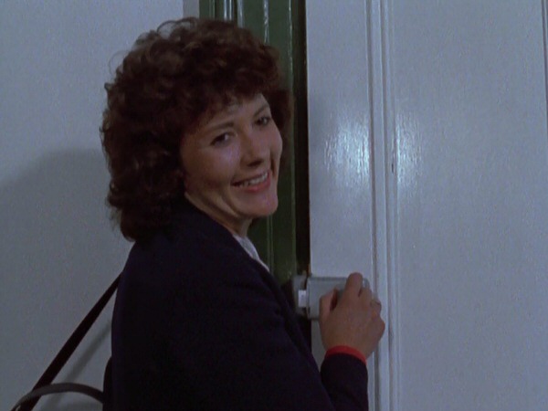 Picture of Minder (1979-1994)