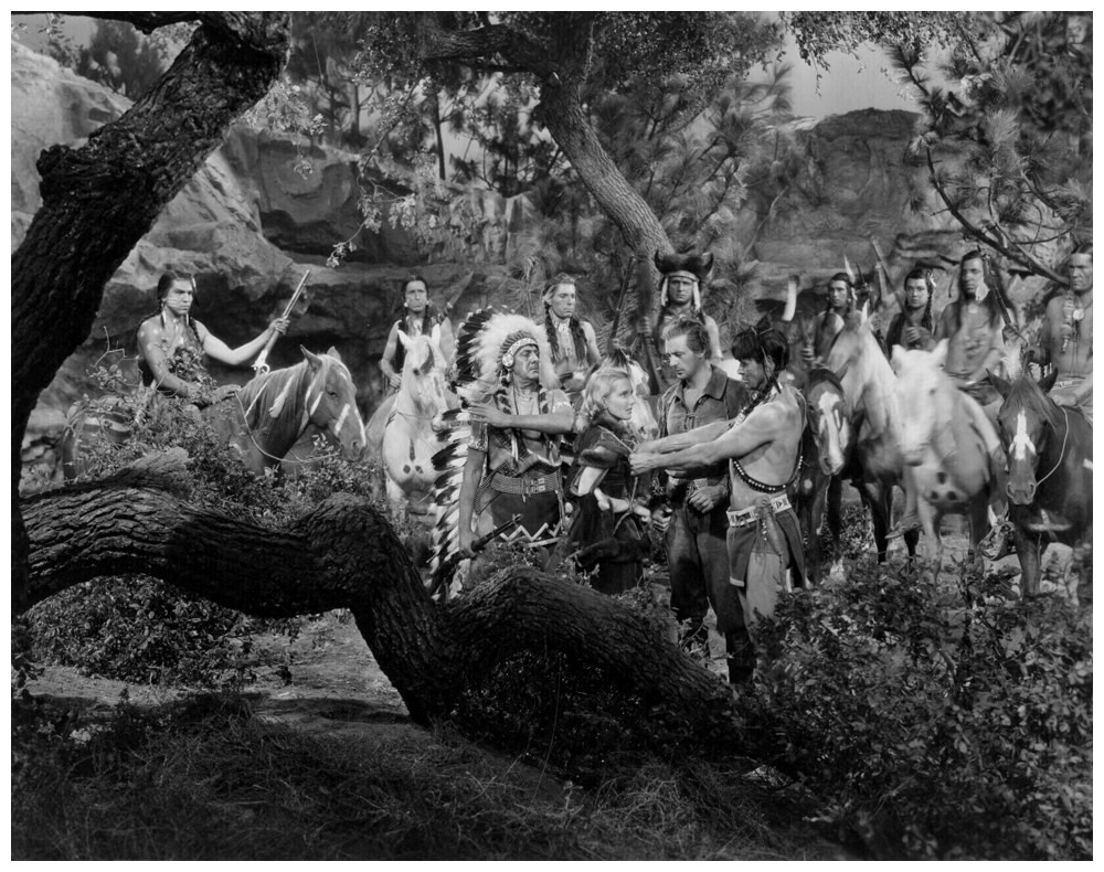 The Plainsman image