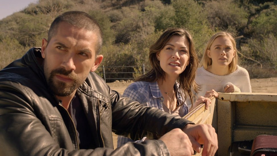 Picture of Close Range