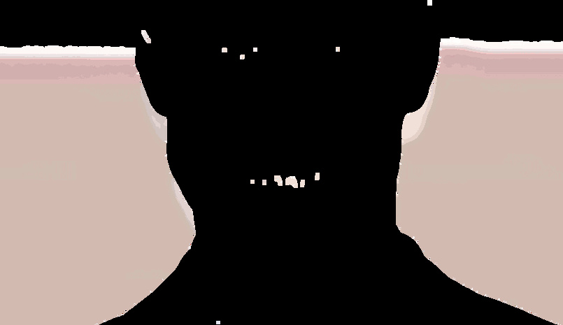 Picture of Alexander Stubb