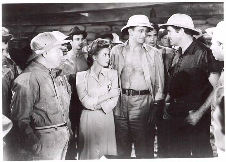 Picture of The Fighting Seabees