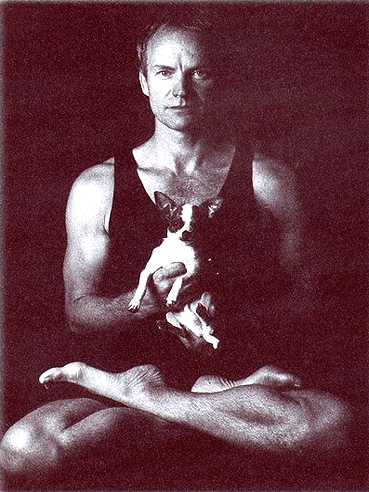 Picture of Sting