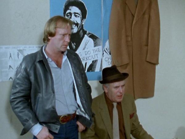 Picture of Minder (1979-1994)