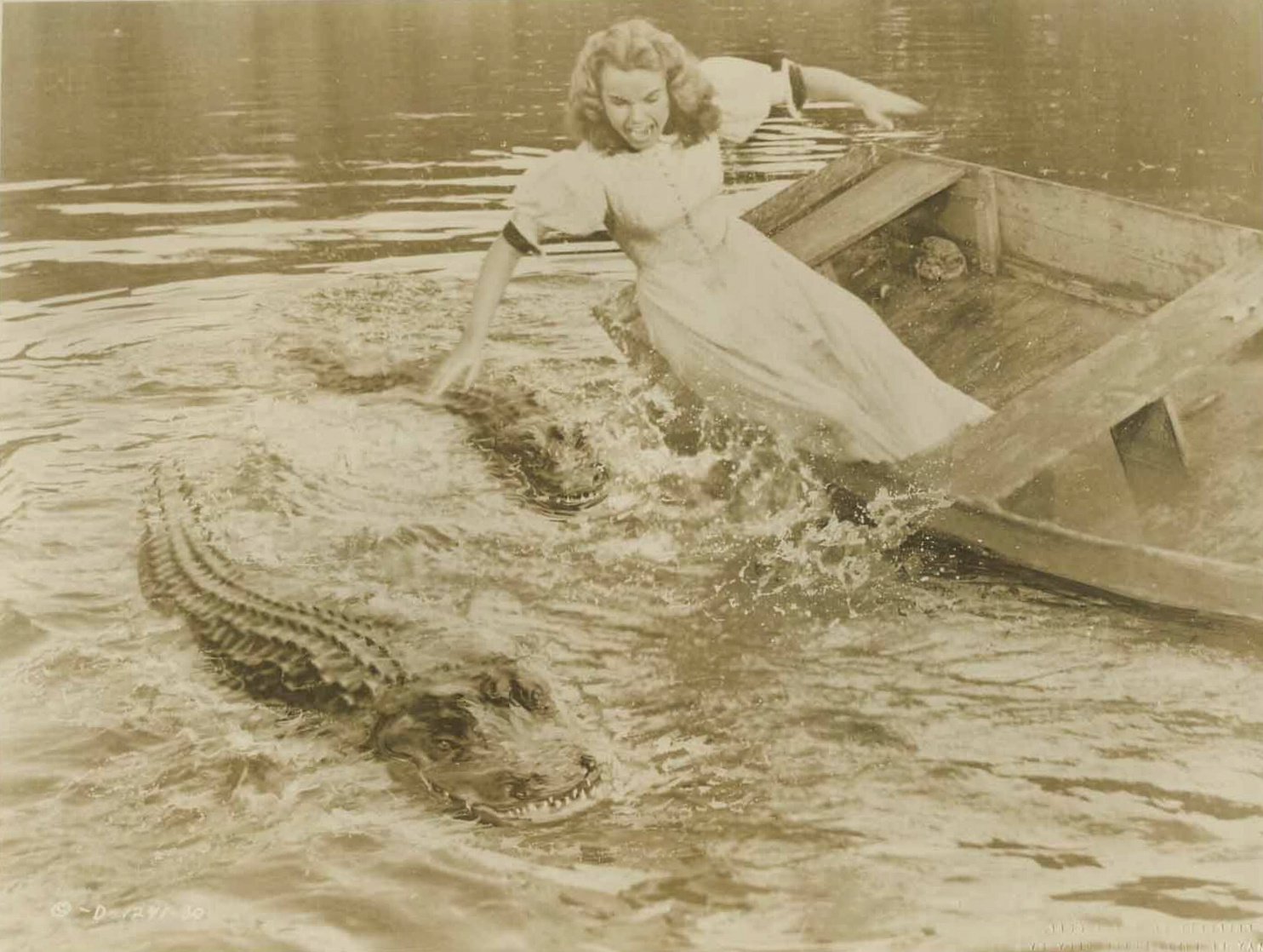 Picture of Terry Moore