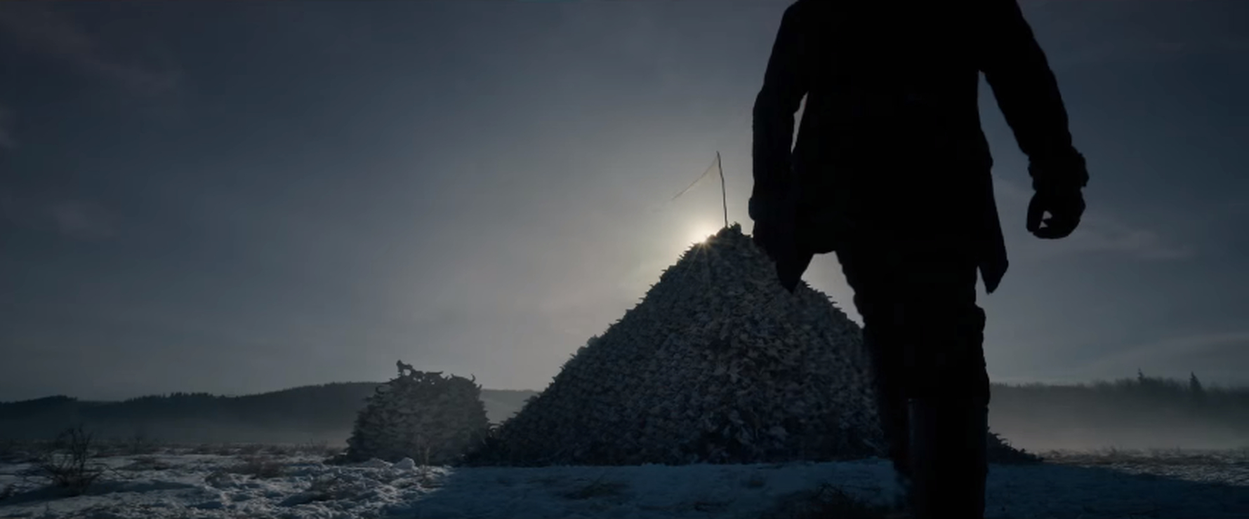 Picture of The Revenant