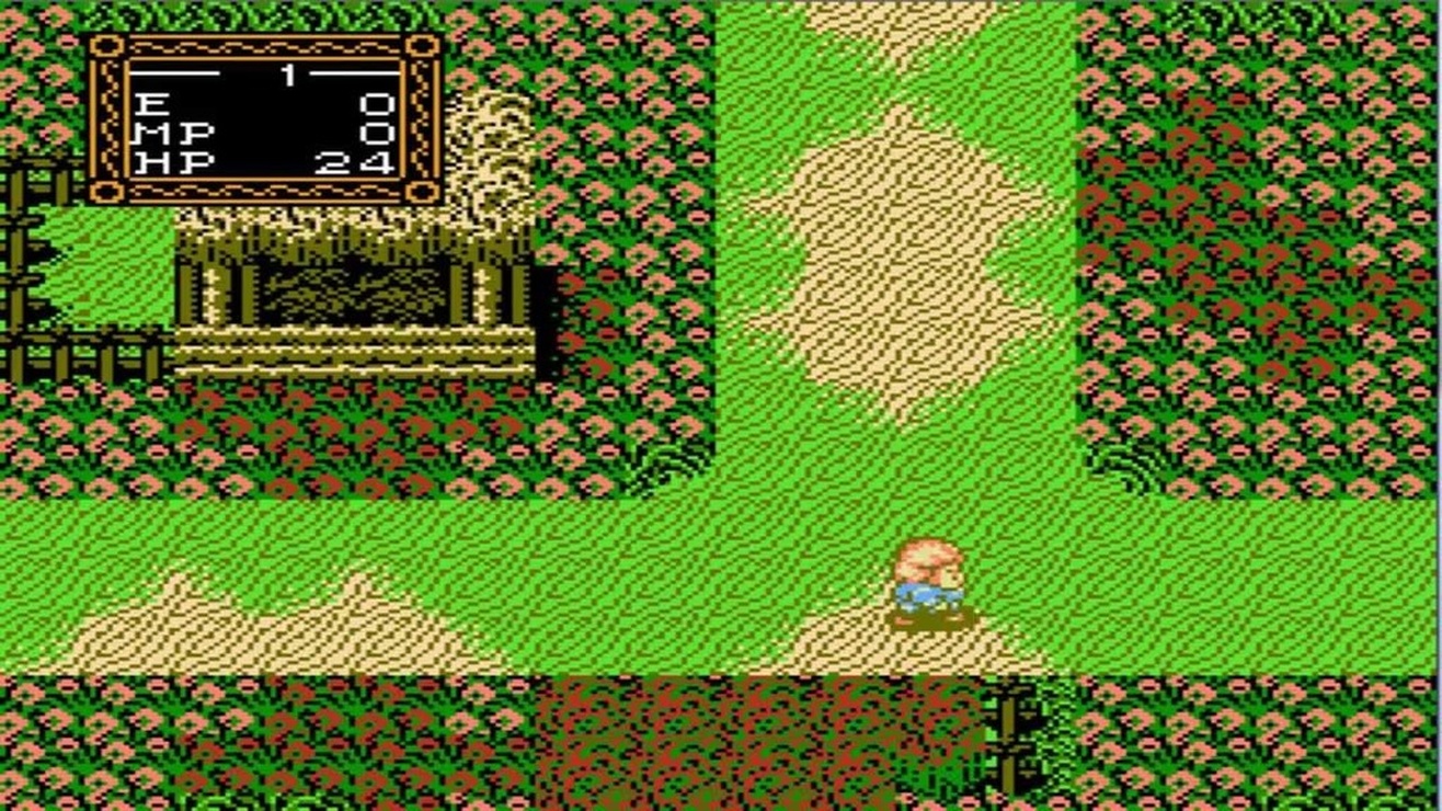 Willow NES