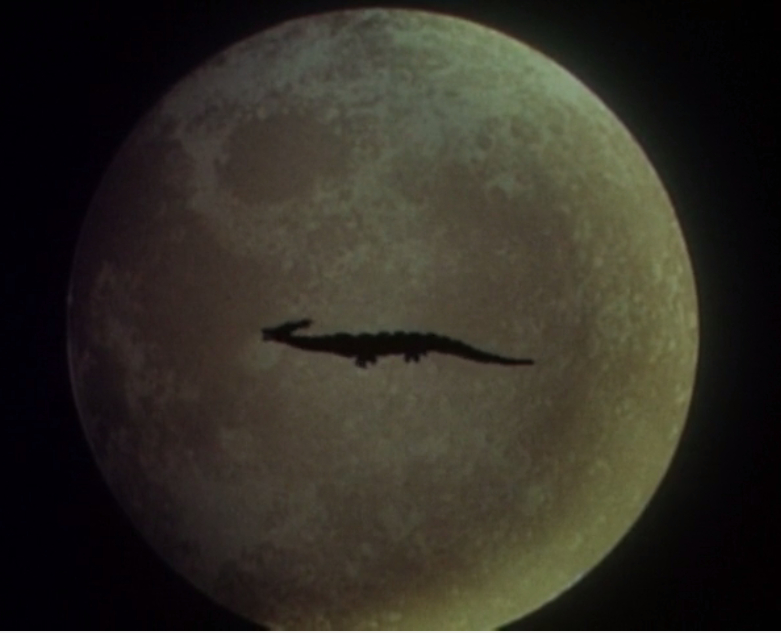 Gosei Sentai Dairanger picture