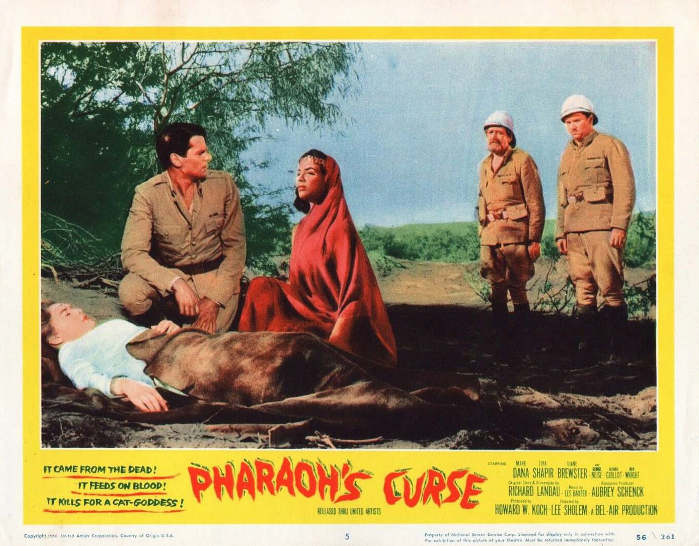 Picture of Pharaoh's Curse