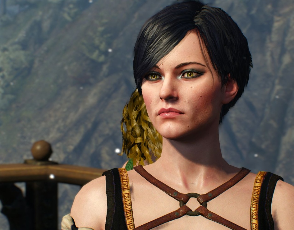 Picture of Fringilla Vigo