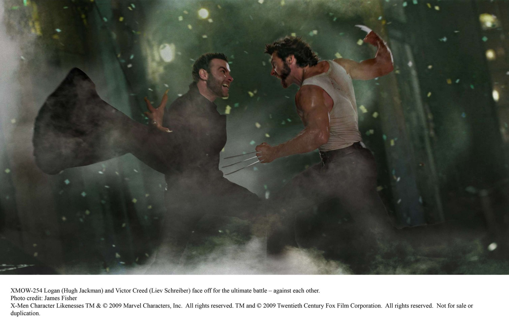 Image of Sabretooth (Liev Schreiber)