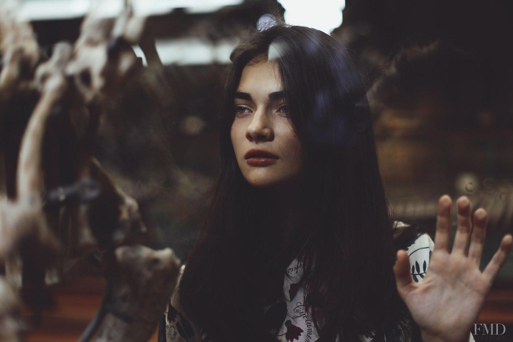 Antonina Vasylchenko picture