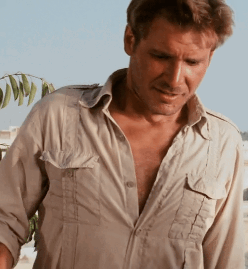 Picture of Harrison Ford