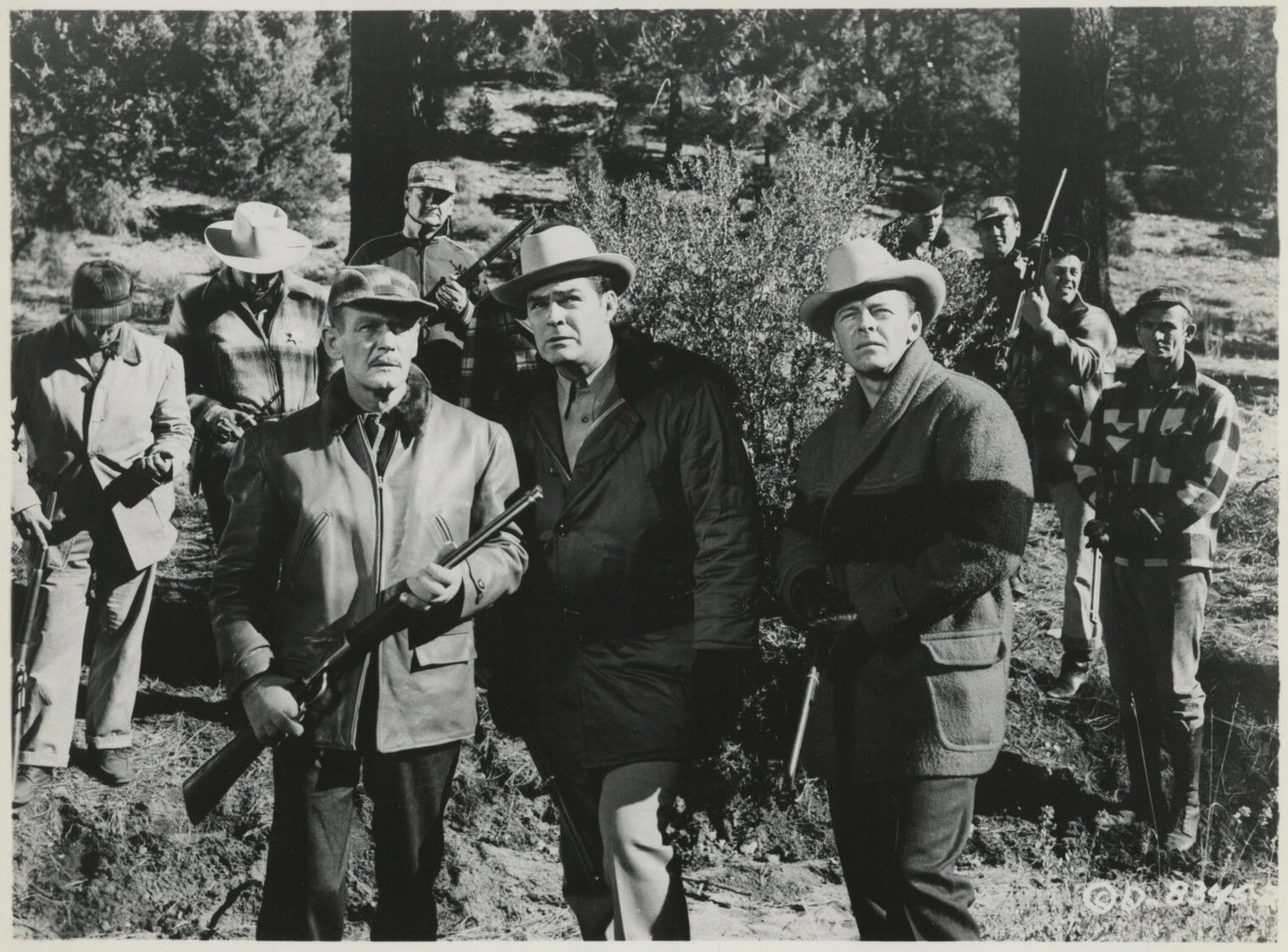 Picture of Don Megowan