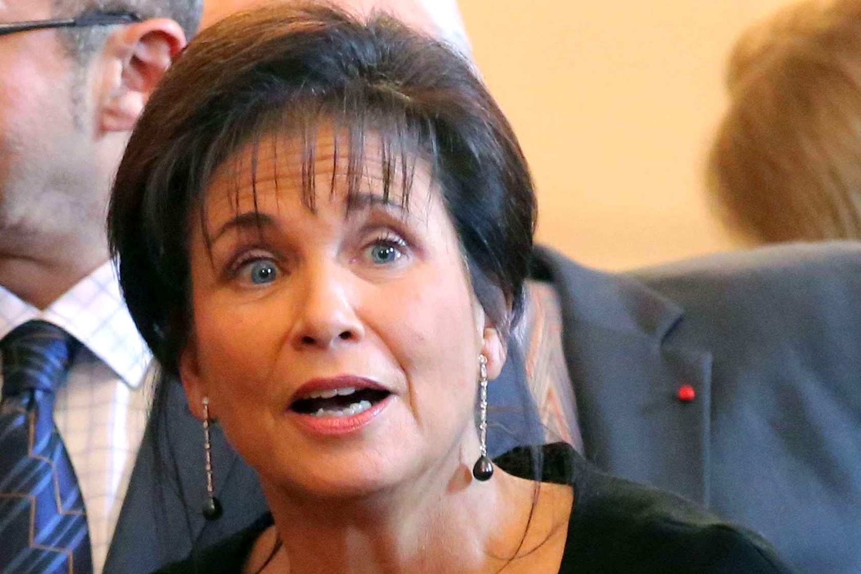 Anne Sinclair picture