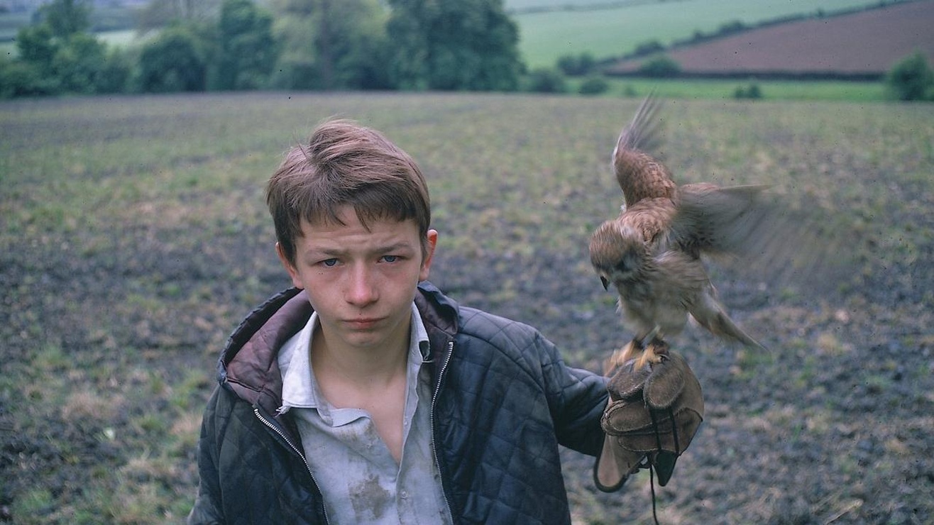 Picture of Kes