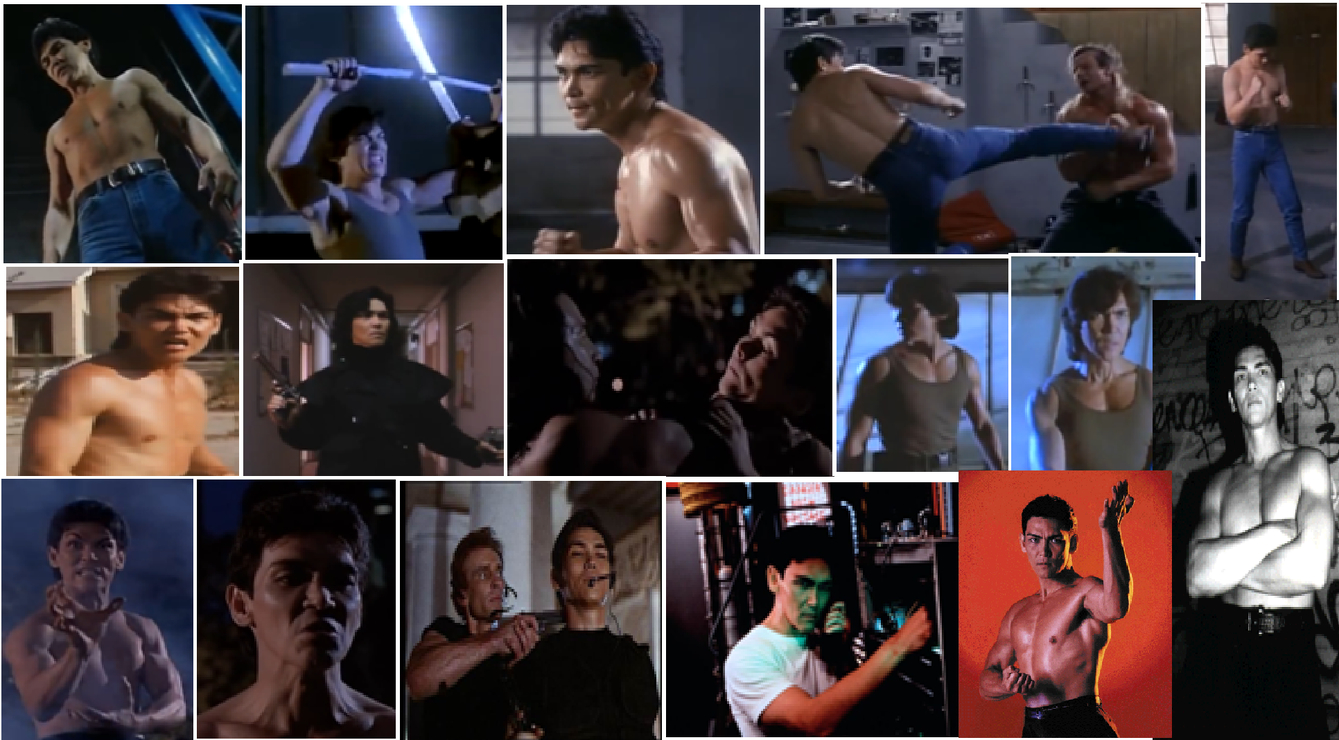 Picture of Don 'The Dragon' Wilson