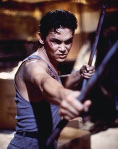 Picture of Don 'The Dragon' Wilson