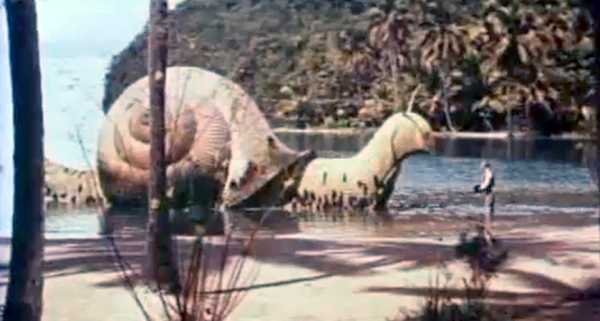 Picture of Great Glass Sea Snail (Great Pink Sea Snail)