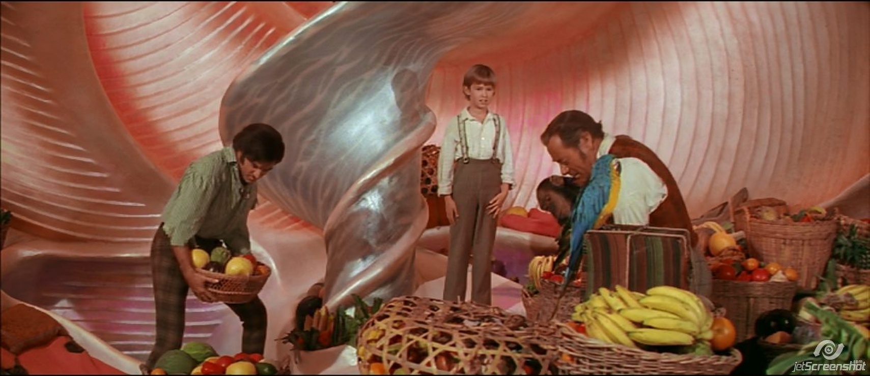 Great Glass Sea Snail (Great Pink Sea Snail) picture