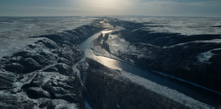 Picture of The Revenant