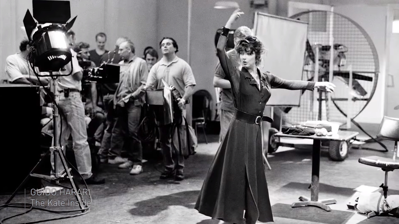 Picture of Kate Bush