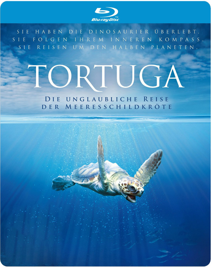 Image of Turtle: The Incredible Journey