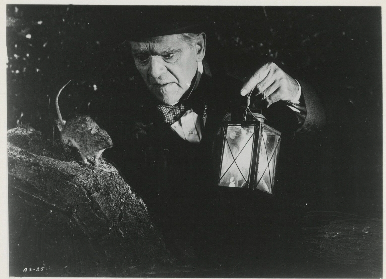 Image of The Haunted Strangler