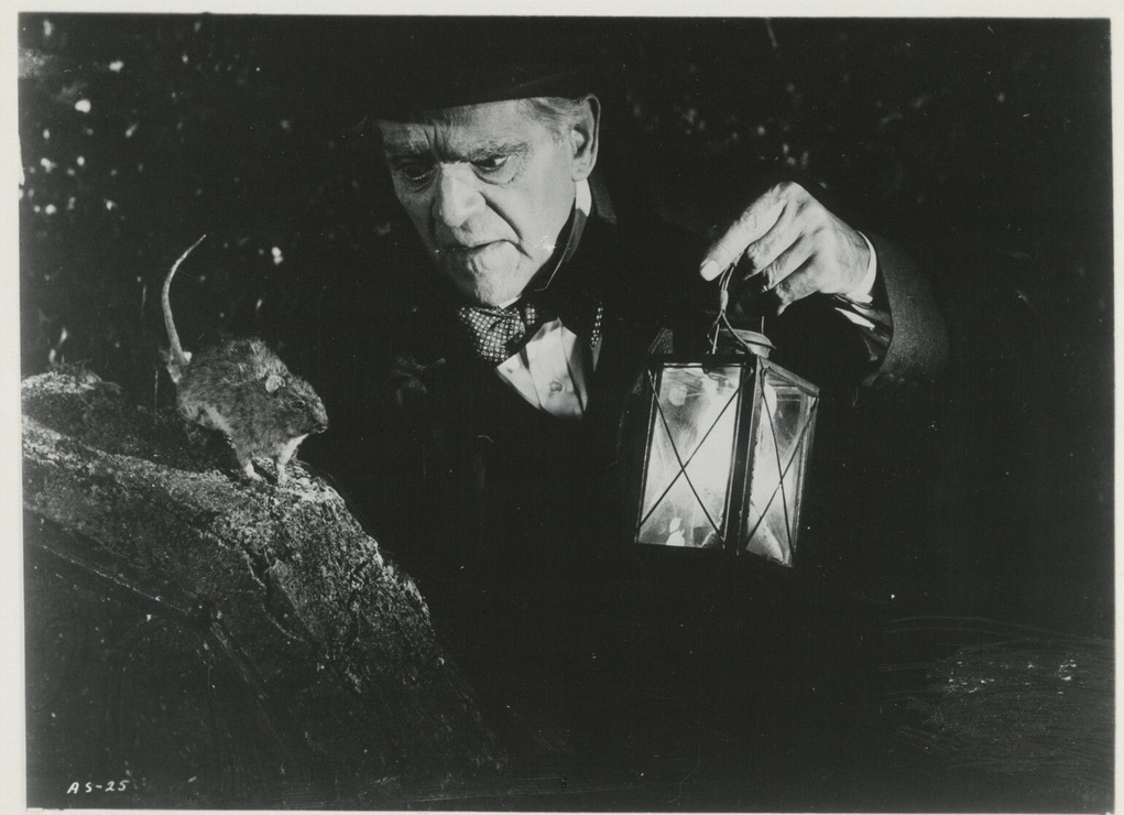 Image of The Haunted Strangler