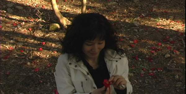 Picture of Camellia Project: Three Queer Stories at Bogil Island