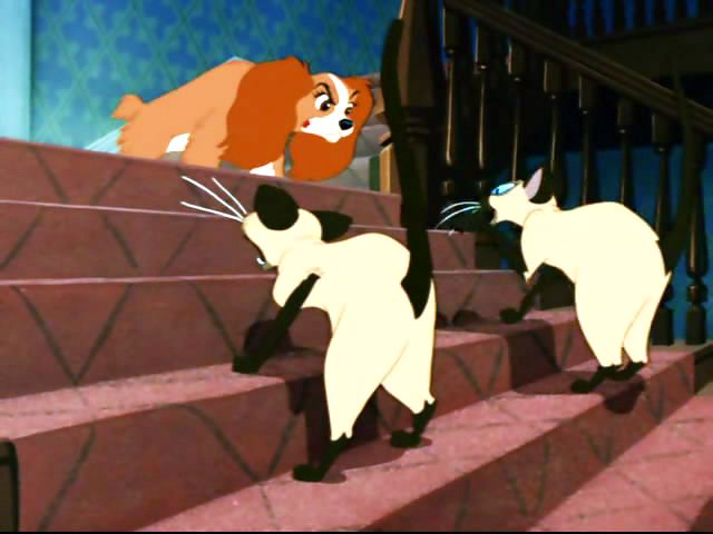 Picture of Si and Am