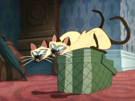 Picture of Si and Am