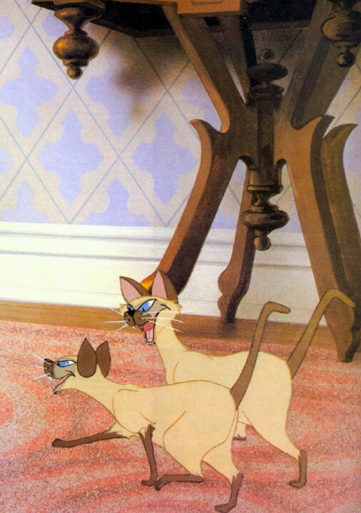 Picture of Si and Am