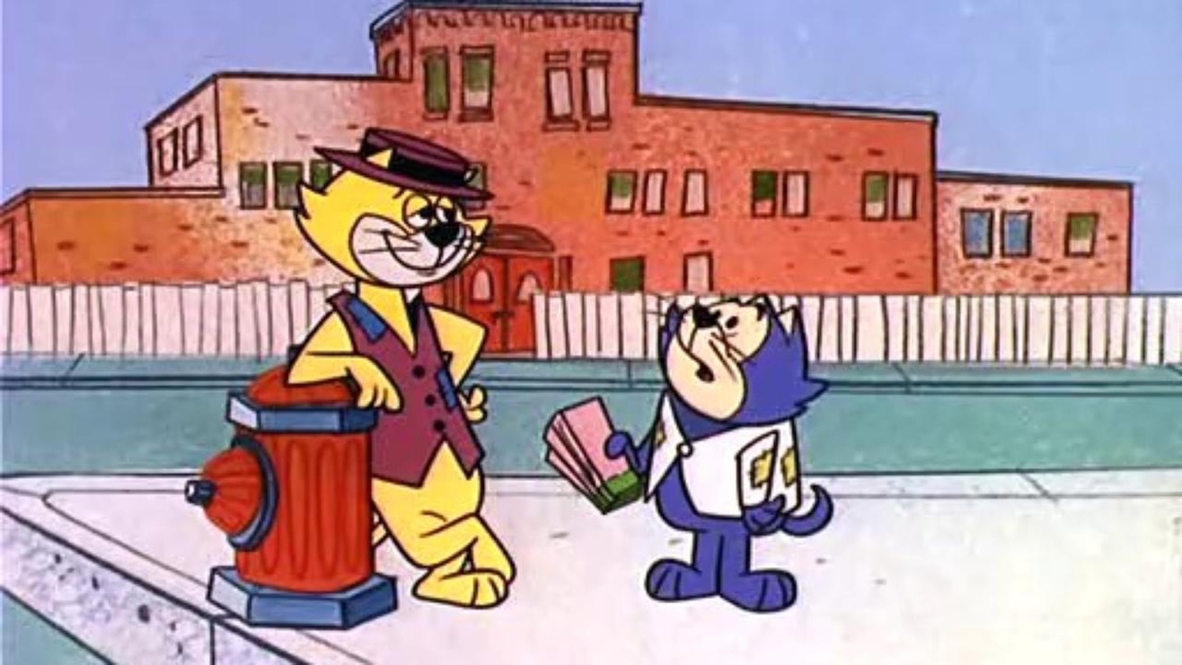 Picture of Top Cat