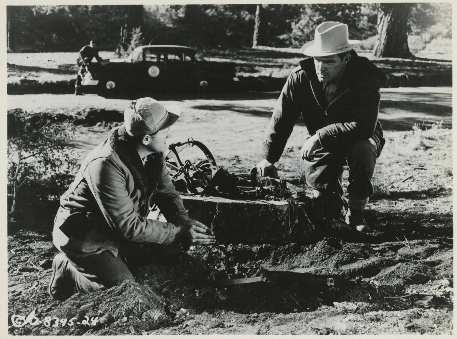 Picture of Don Megowan