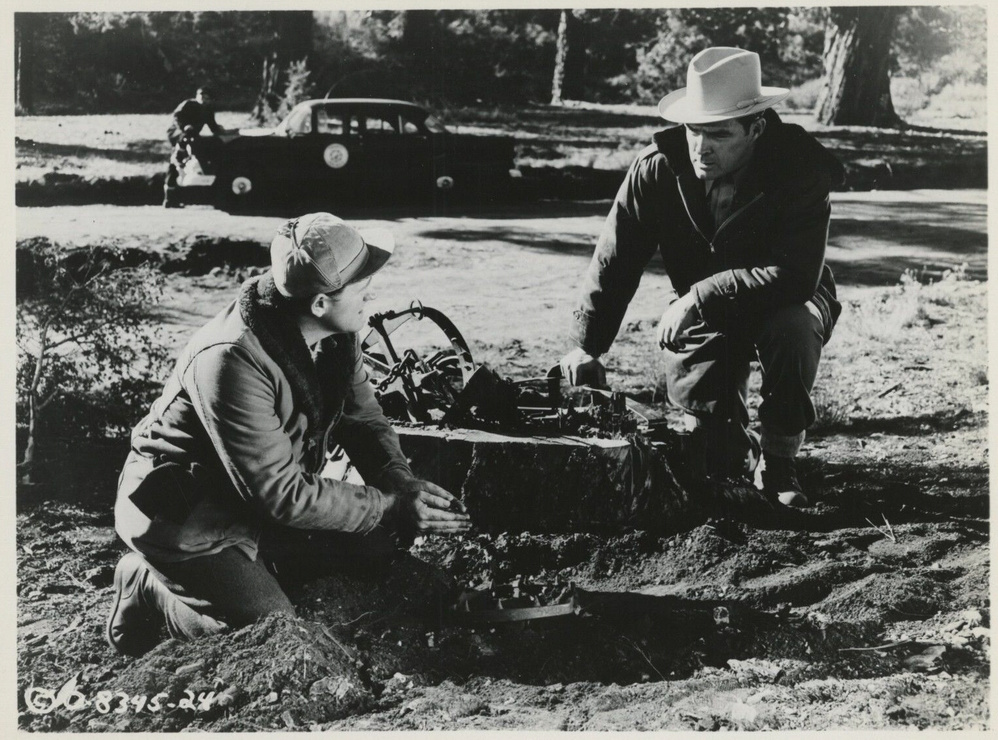 Picture of Don Megowan