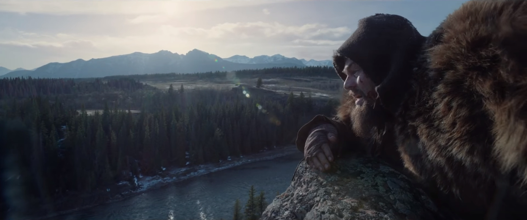 Picture of The Revenant