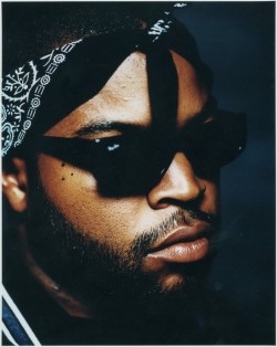Picture of Ice Cube