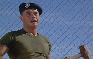 Picture of Lionheart