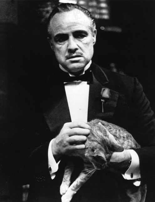 Picture of The Godfather