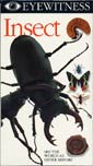 Image of Eyewitness:Insect