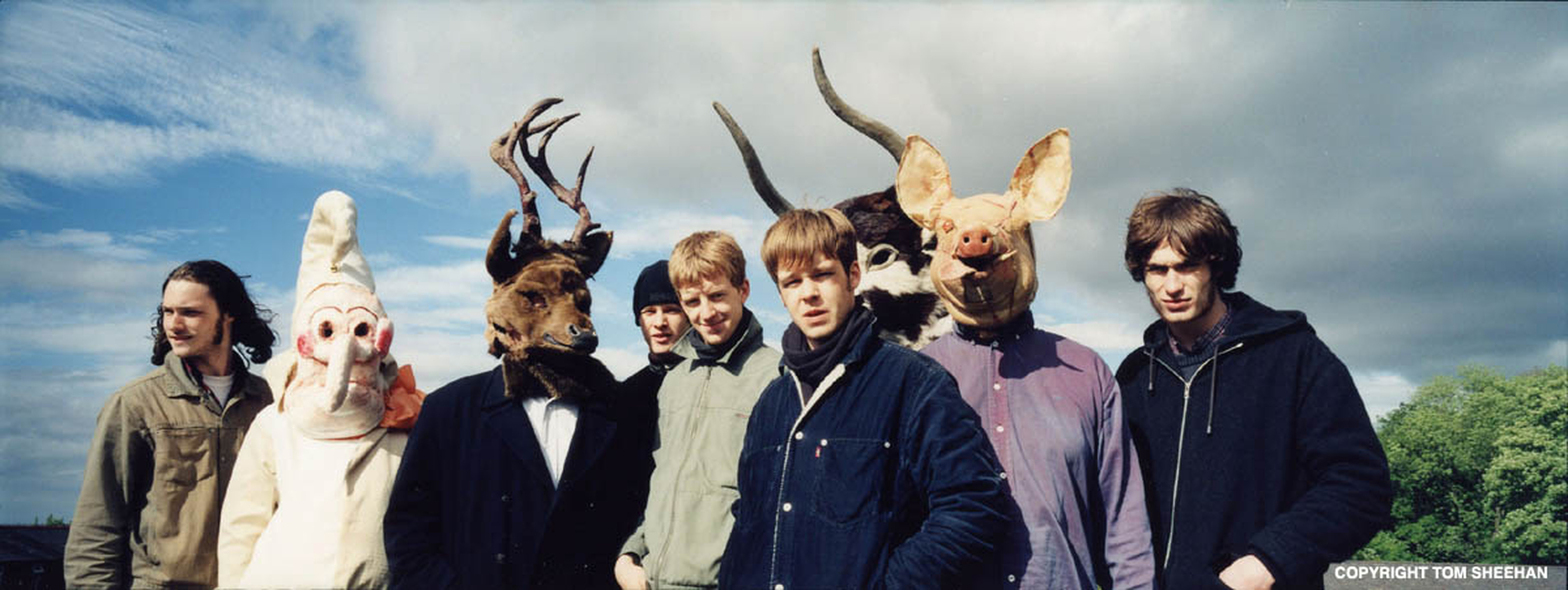 Picture of The Coral