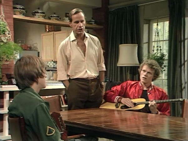 Picture of Butterflies (1978-1983)