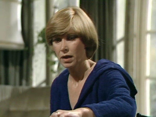 Image of Butterflies (1978-1983)