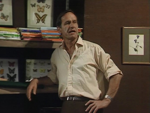 Butterflies (1978-1983) picture