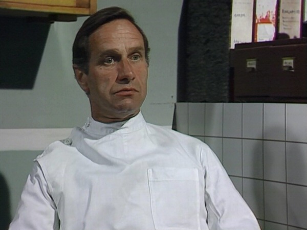 Picture of Butterflies (1978-1983)