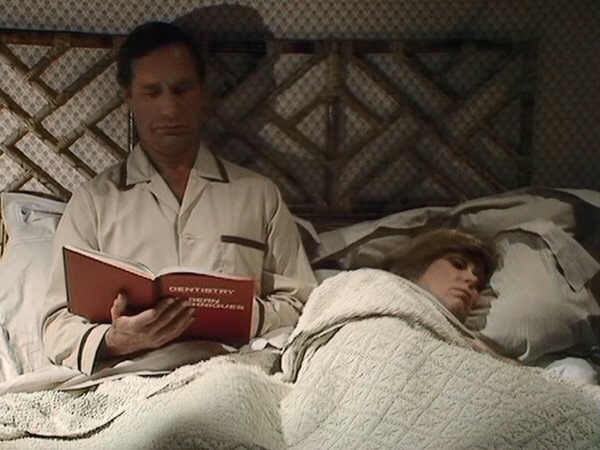 Picture of Butterflies (1978-1983)