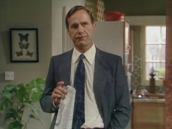 Picture of Butterflies (1978-1983)