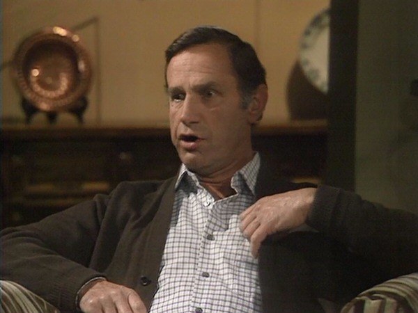 Butterflies (1978-1983) picture