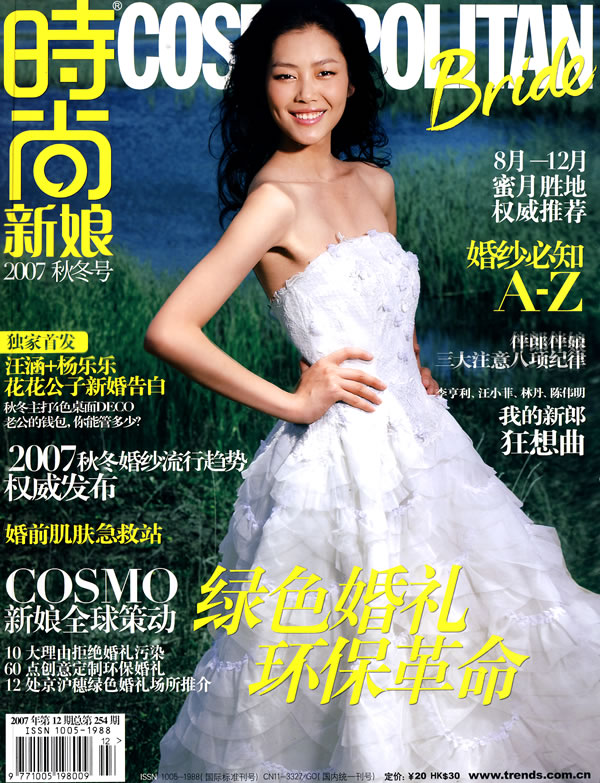 Image of Liu Wen