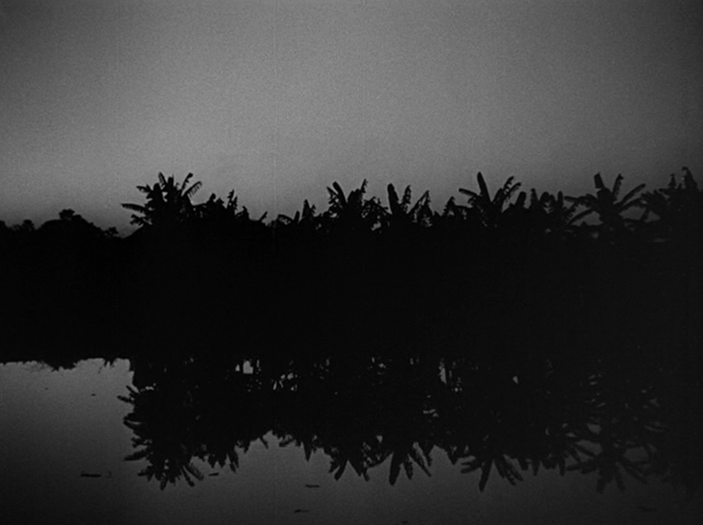 Picture of Pather Panchali (1955)